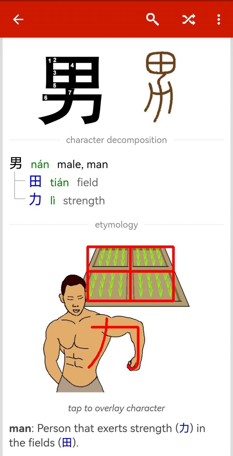 How to Learn to Read Chinese Characters: Best Apps Review