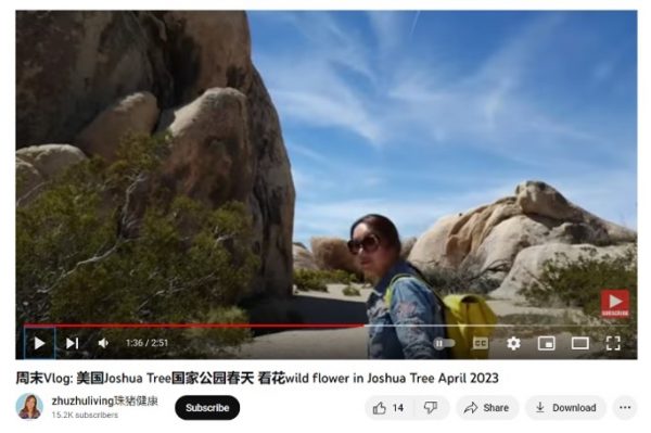 Best Chinese Vloggers on YouTube and BiliBili to Learn Advanced Mandarin
