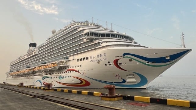 Chinese Slang | Learn Chinese with The Chairman's Bao