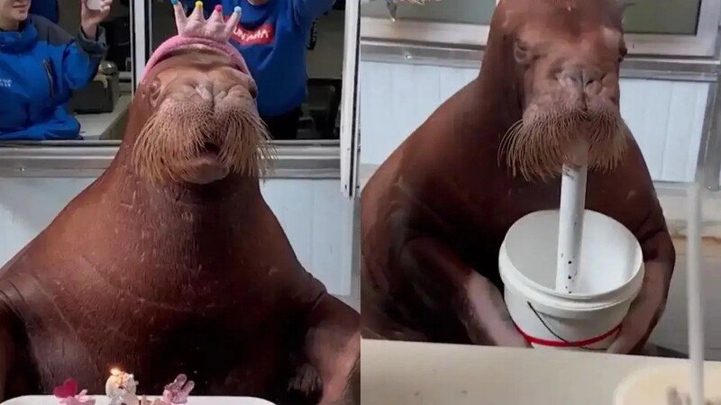 10 Must-know Chinese Number Slang | The Chairman's Bao