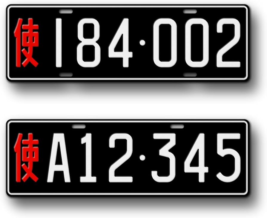 What Do Chinese License Plates Look Like | The Chairman's Bao